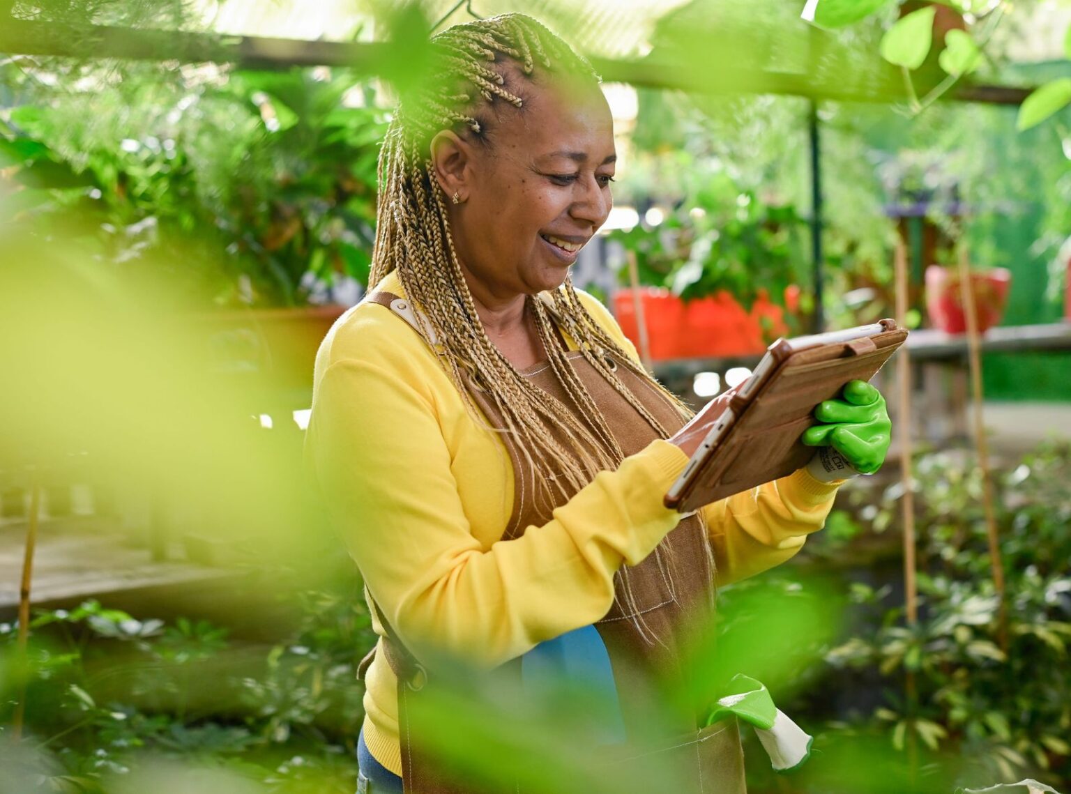 Housing – Avid Community Care